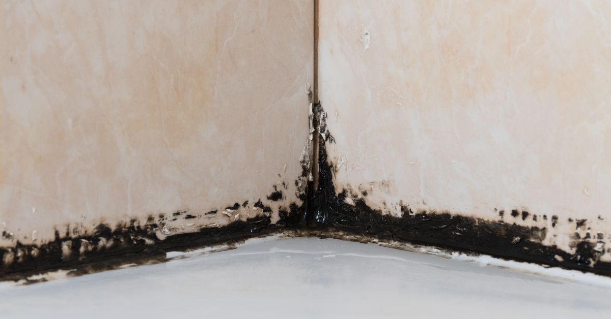How To Clean Silicone Caulk In The Shower